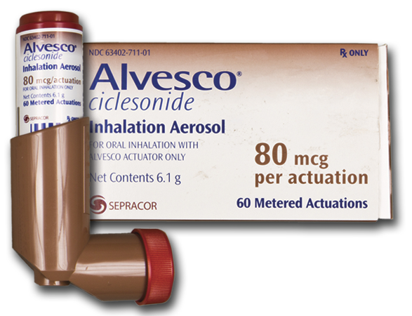 Alvesco 80
